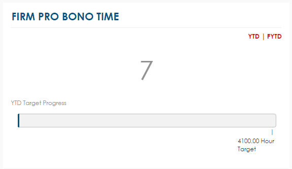 Updating Firm YTD Target Value – Pro Bono Manager